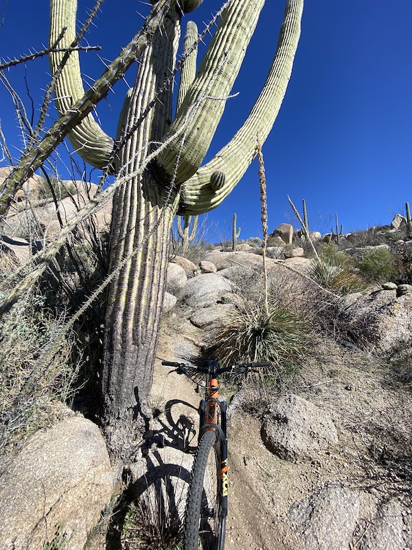 Gem Slabs Mountain Biking Trail - Tucson, Arizona