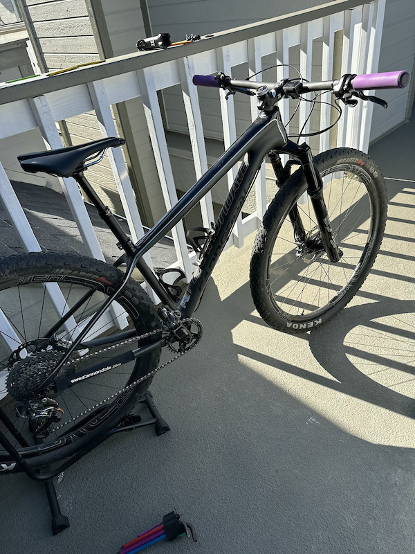 Super Light Custom Hardtail For Sale
