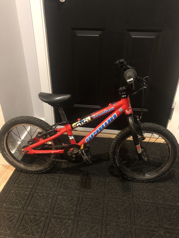 2017 Spawn 16” Banshee For Sale