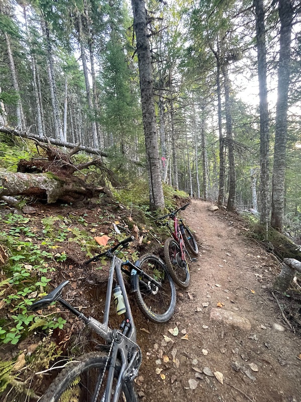 Snakes'n Ladders Mountain Biking Trail - Pasadena, NL