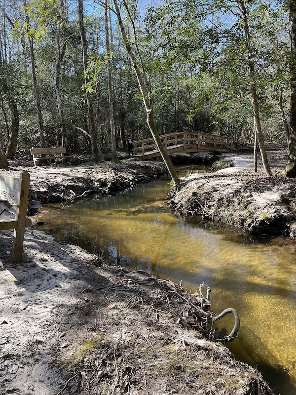 Clarkco State Park Mountain Biking Trails | Trailforks