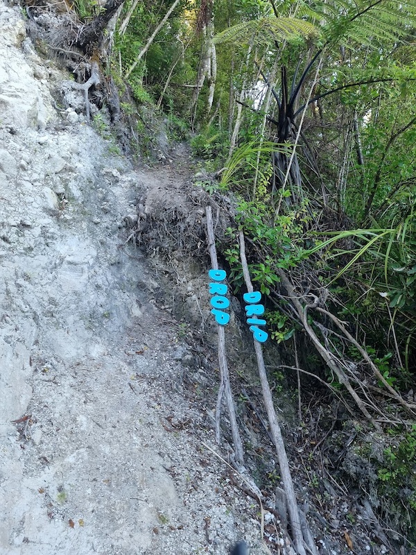 Drip Drop Mountain Biking Trail - Whangarei | Trailforks