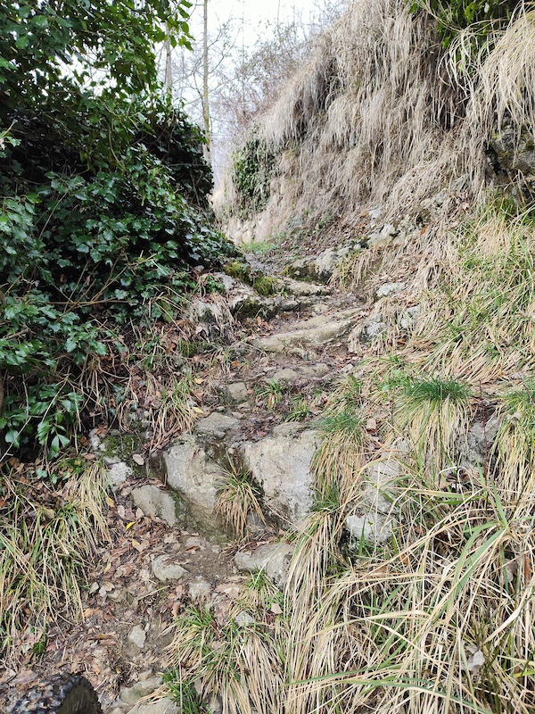 Somendenna trail Multi Trail - | Trailforks