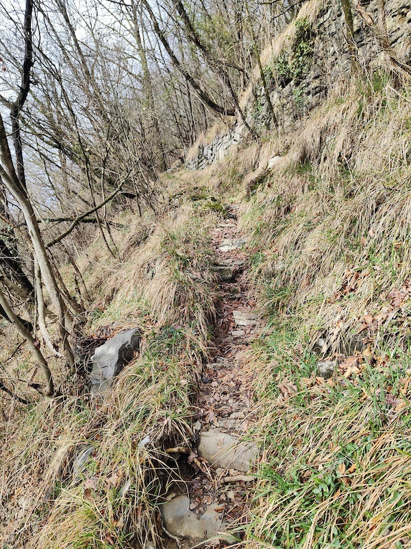 Somendenna trail Multi Trail - | Trailforks