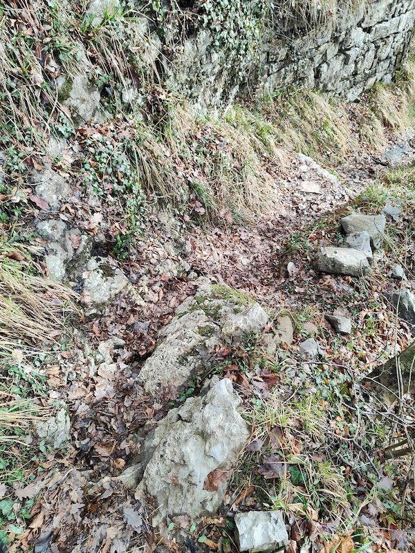 Somendenna trail Multi Trail - | Trailforks