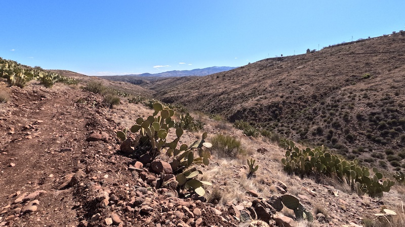 Morenci, Arizona Mountain Biking Trails | Trailforks