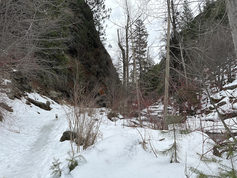 Kootenai Creek Hiking Trail - Hamilton, Montana