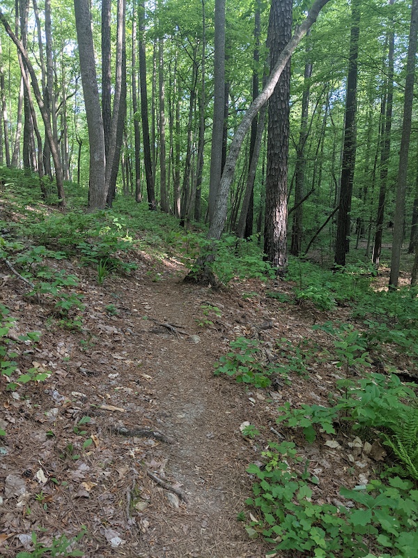 Uwharrie Trail Hiking Trail - Troy, North Carolina