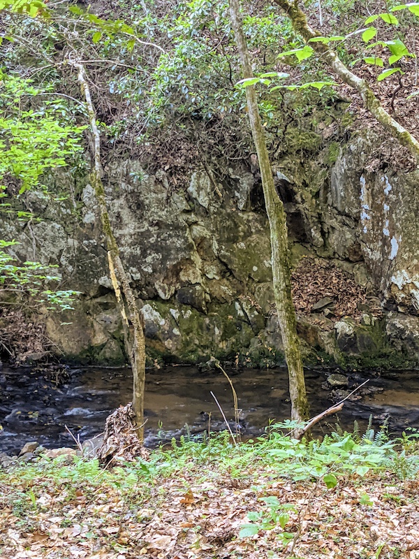 Uwharrie Trail Hiking Trail - Troy, North Carolina
