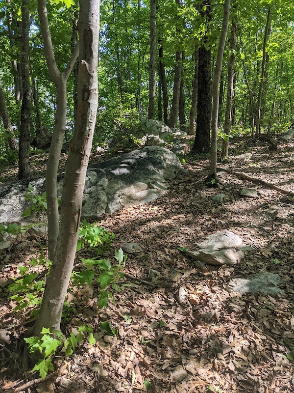 Uwharrie Trail Hiking Trail - Troy, North Carolina