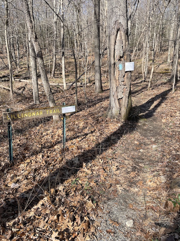 Sunny Valley Preserve, Bridgewater Hiking Trails | Trailforks