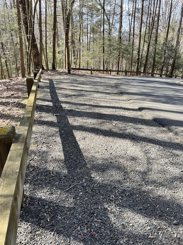 Sunny Valley Preserve Main Trail Hiking Trail - Bridgewater