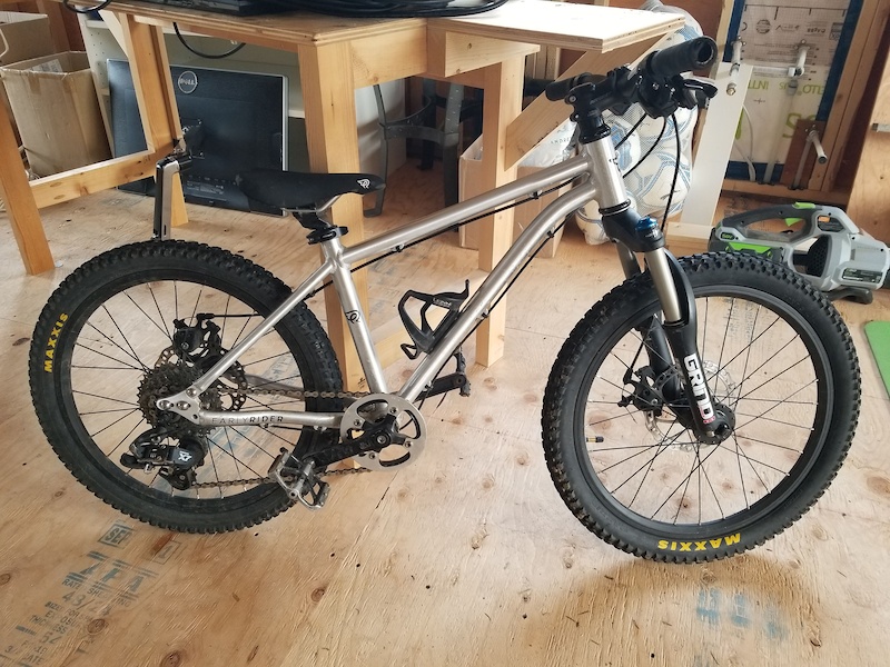 2019 Early Rider Hellion Trail hardtail 20" For Sale