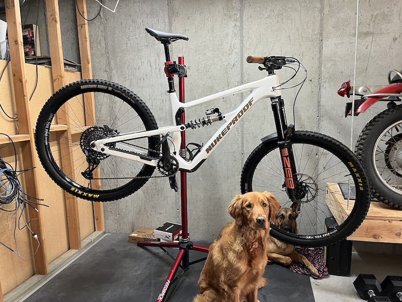 2023 Nukeproof Mega 290 Carbon EXT Coil - Large For Sale