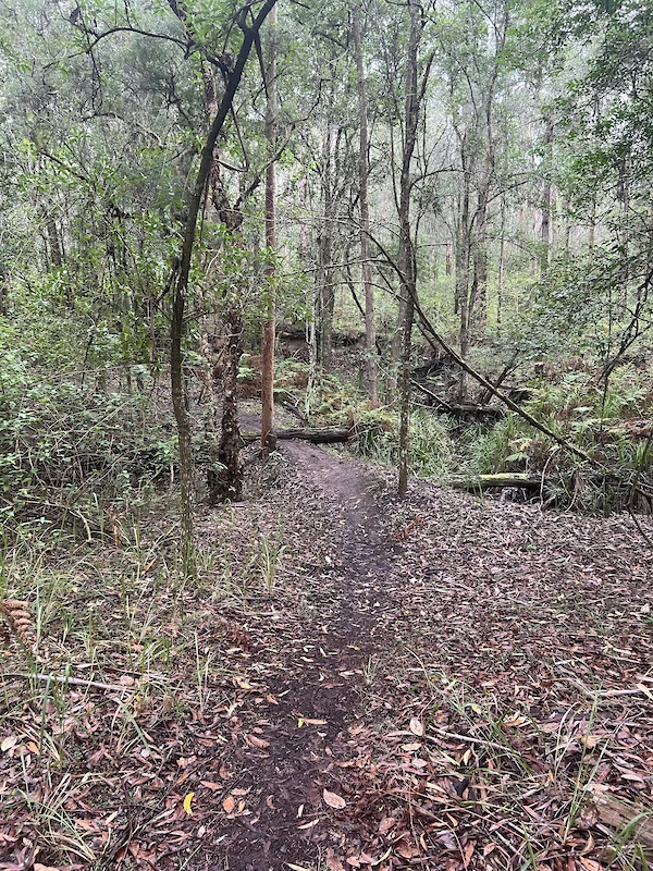 Bunyip Boogie Mountain Biking Trail - | Trailforks