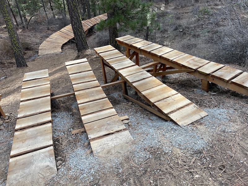 Drop Zone Mountain Biking Trail - Blairsden, California