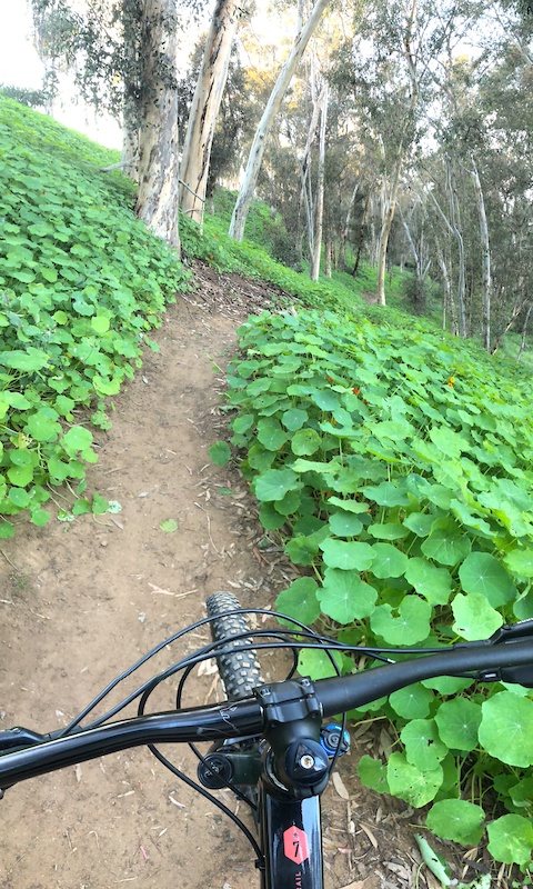 Hosp Grove Trail Multi Trail - Carlsbad, California