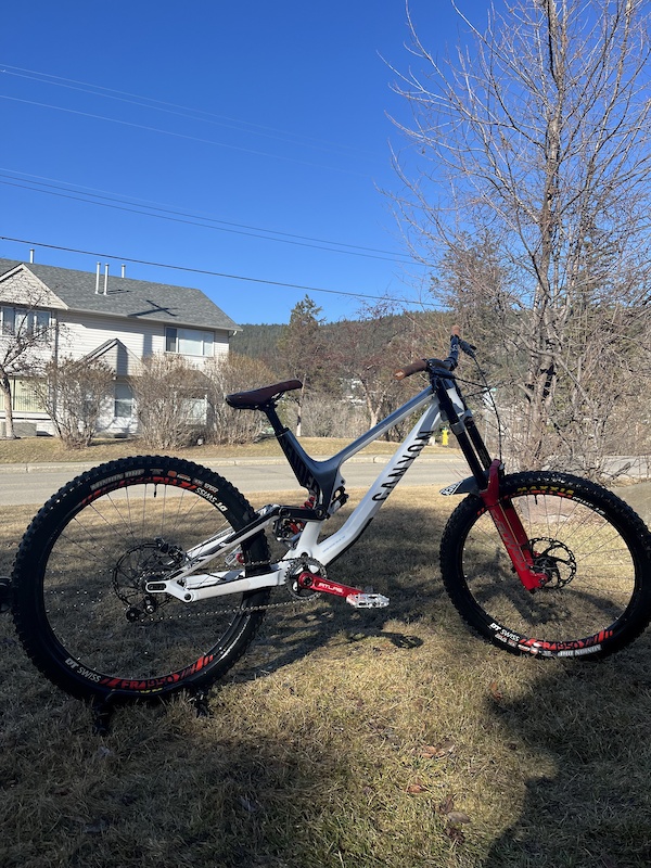 2023 Custom canyon sender For Sale