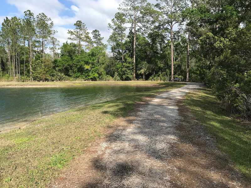 Tambo Loop Multi Trail - New Port Richey, Florida