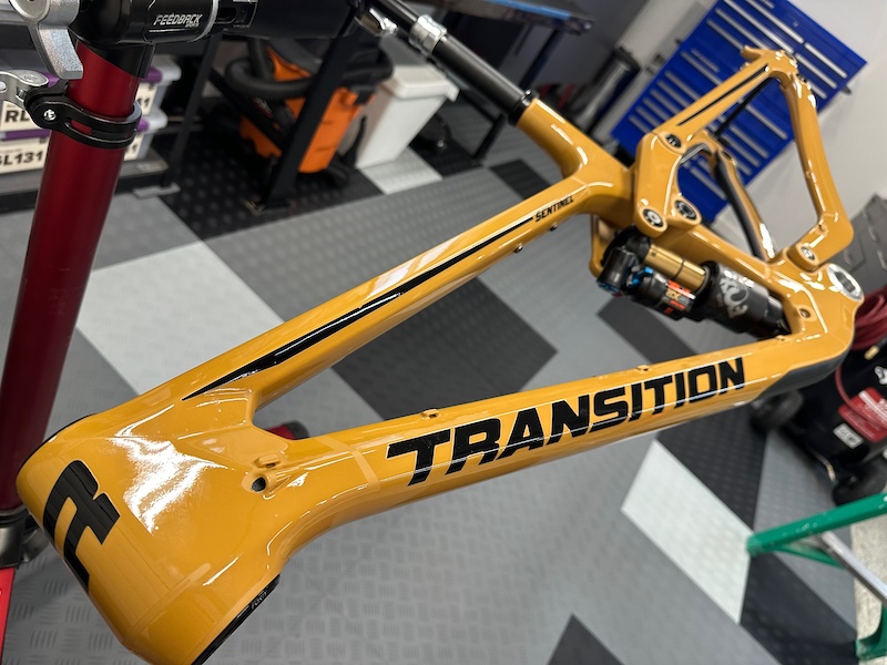 2023 Transition Sentinel Large Spotless Clean For Sale