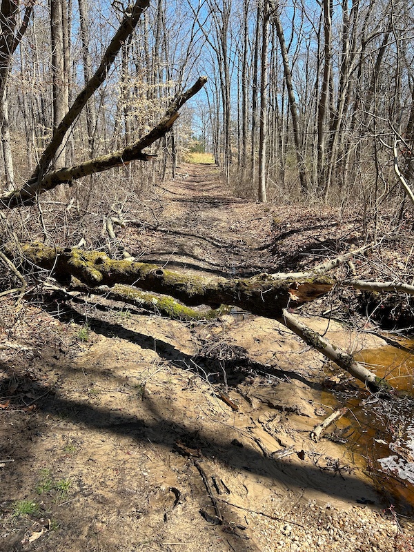 Mason-Dixon Trail: North East Section Multi Trail - - Maryland