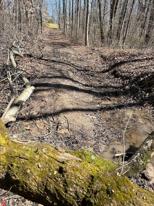 Mason-Dixon Trail: North East Section Multi Trail - - Maryland