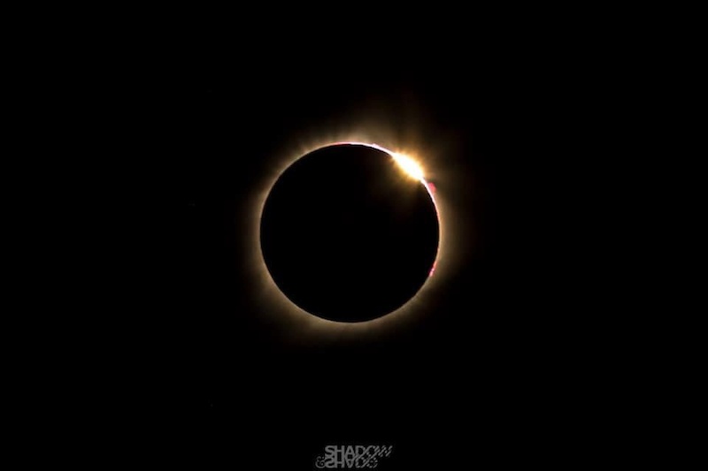 Your Guide to Viewing the Great North American Eclipse