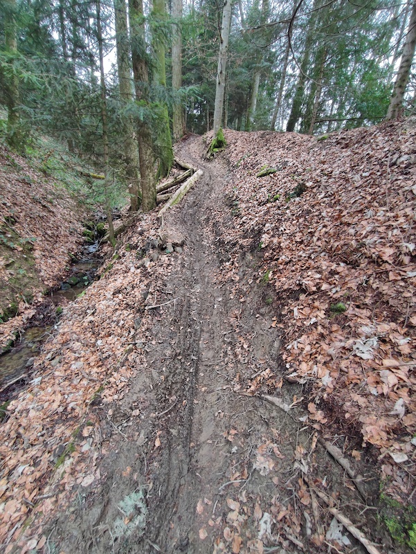 Cello Trail Mountain Biking Trail - Wangen SZ