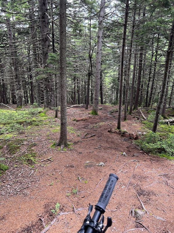 Brook Trail Multi Trail - Gilford, New Hampshire