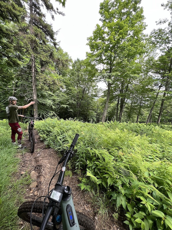 Belknap Range Trails, Gilford Mountain Biking Trails | Trailforks