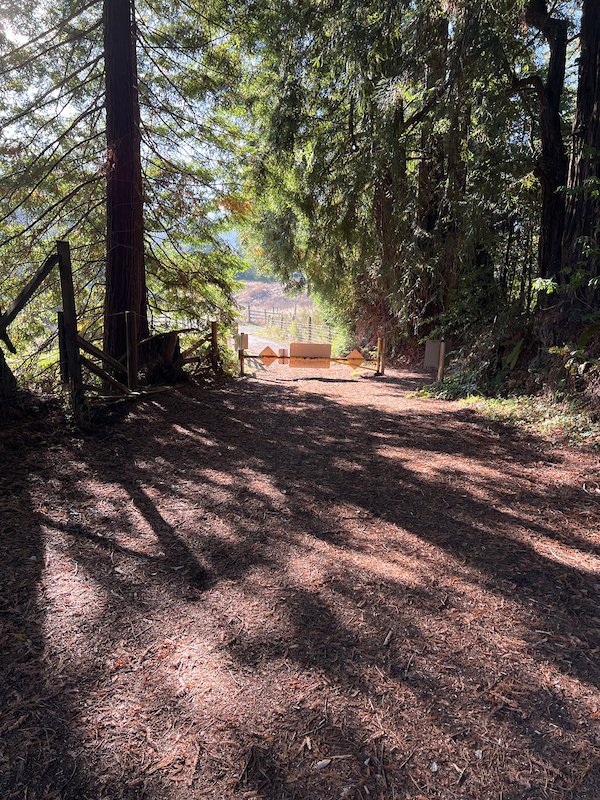 Humbug Willow Creek Multi Trail - Folsom, California