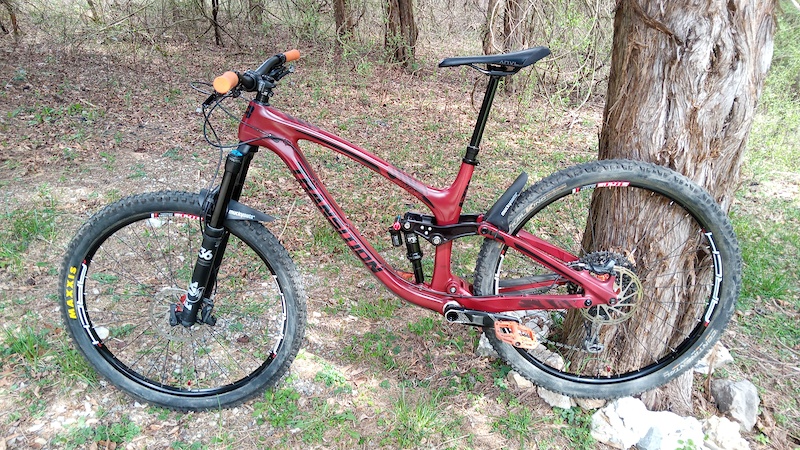 2019 Transition Carbon GX Sentinel-Large Pinot For Sale
