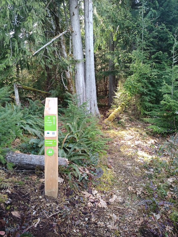Hoe Chuck Mountain Biking Trail - Lake Cowichan, BC