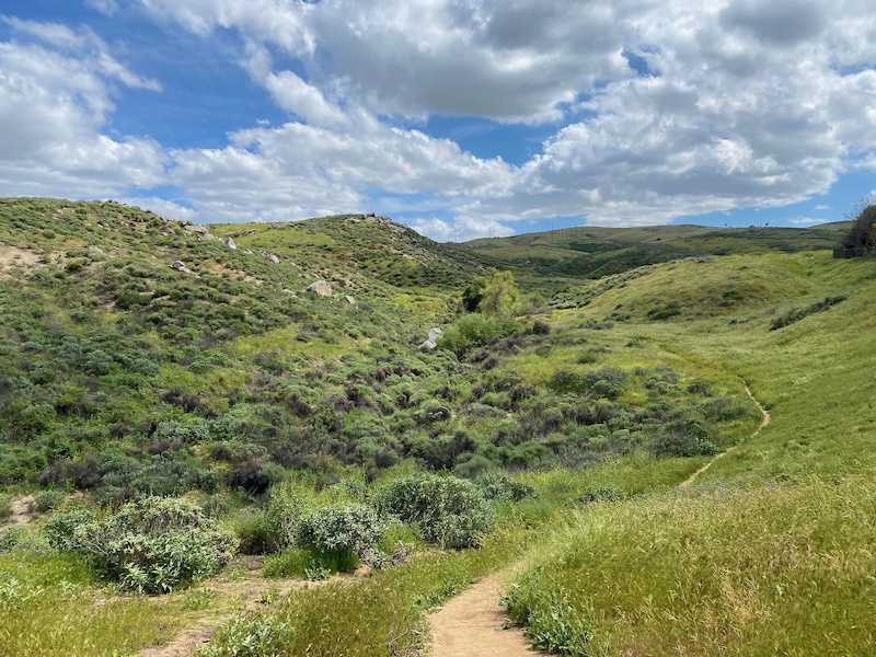 Left Hand Canyon Trail Mountain Biking Trail - Riverside
