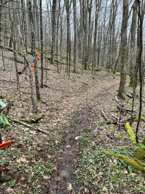 Apr 04, 2024 Props Run Trail Report | Trailforks