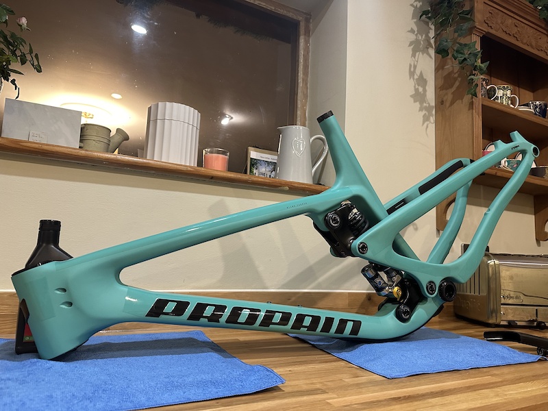 2020 Propain Tyee - Carbon - Frame - PRO 10 - BadMint - For Sale