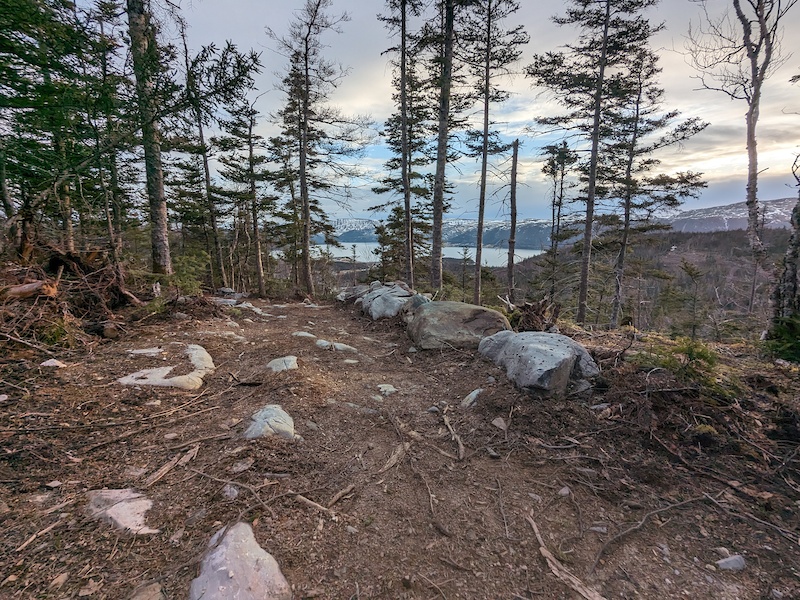 Neddies Harbour Traverse Mountain Biking Trail - Norris Point, NL