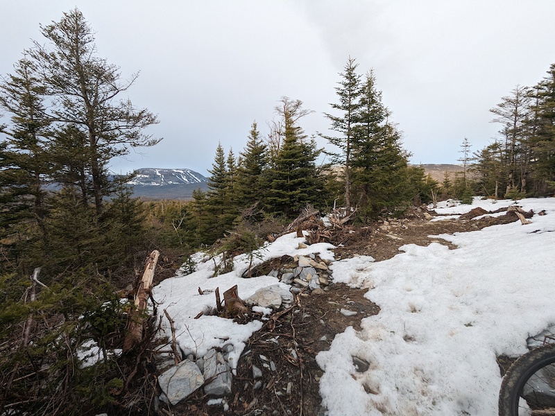 Neddies Harbour Traverse Mountain Biking Trail - Norris Point, NL