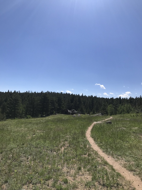Homestead Meadows Hiking Trail - Estes Park, Colorado