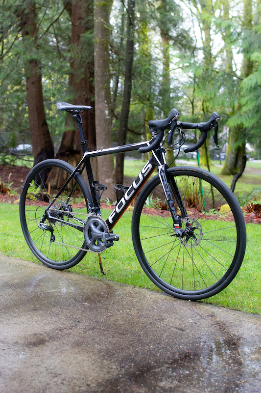 2016 Focus Cayo For Sale