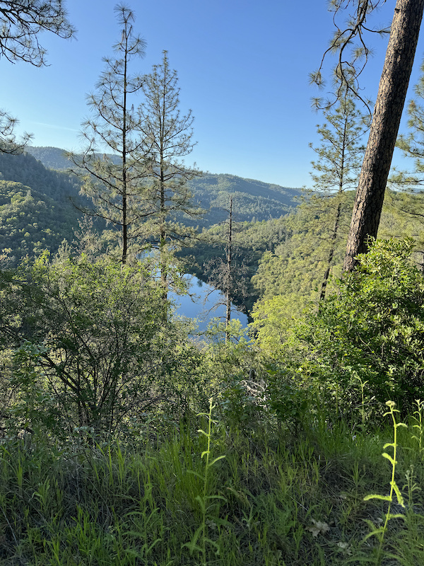 Point Defiance Loop Trail Hiking Trail - Nevada City