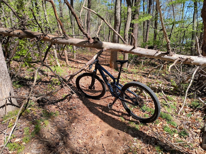 Burl Oak Mountain Biking Trail - Greensboro, NC