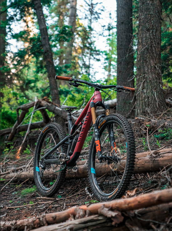 2021 Canyon Spectral 29 CF9 With Upgrades* For Sale