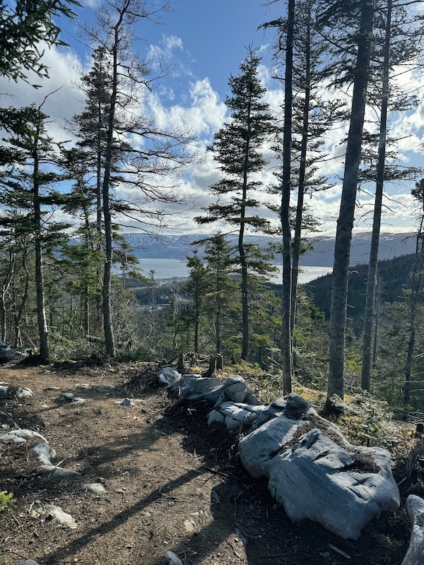Neddies Harbour Traverse Mountain Biking Trail - Norris Point, NL