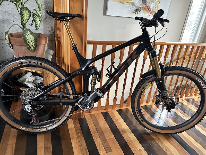 2022 Trek Remedy 9.8 (Custom Build) For Sale