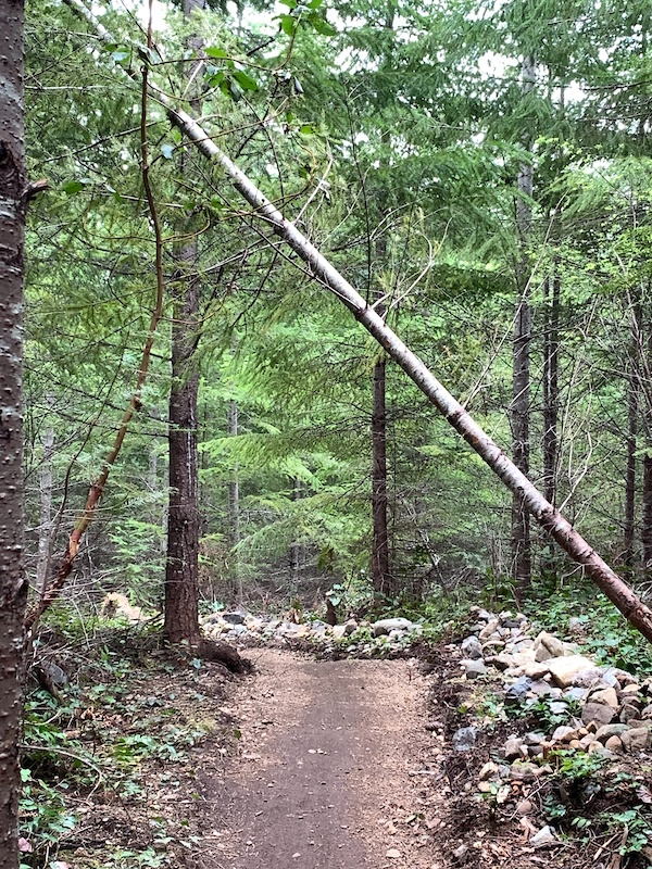 Mattmo Mountain Biking Trail - Nanaimo, British Columbia