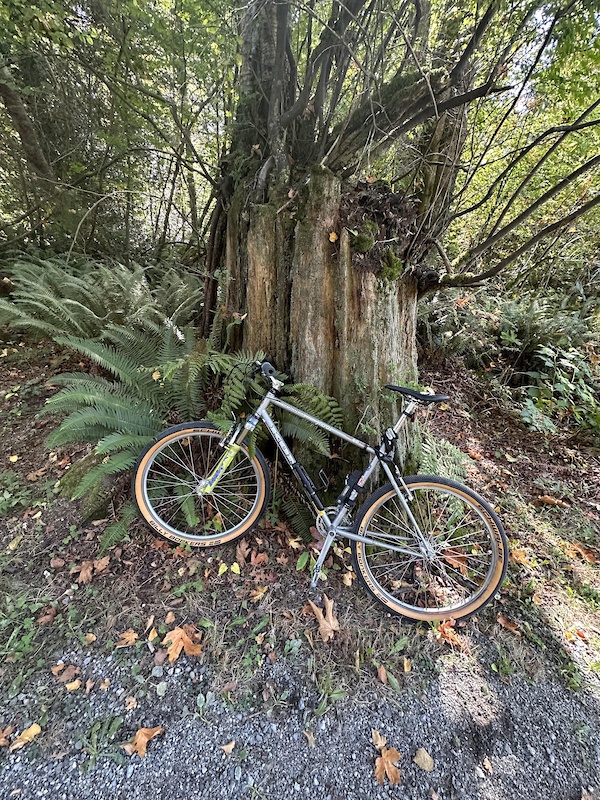 *RARE* Retro Kona Kilauea '94 Refurb - 19 in Frame For Sale