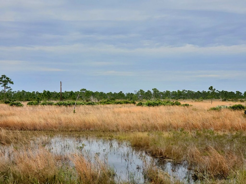 Jupiter Farms Border Multi Trail - Jupiter, Florida