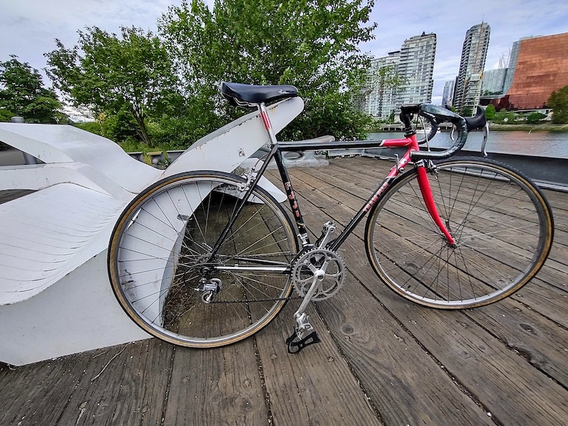 Vintage Team Fuji For Sale