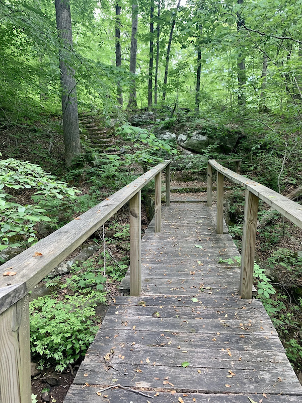Willis River Trail Hiking Trail - Cumberland, Virginia